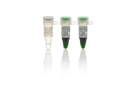 DreamTaq™ Hot Start Green DNA Polymerase